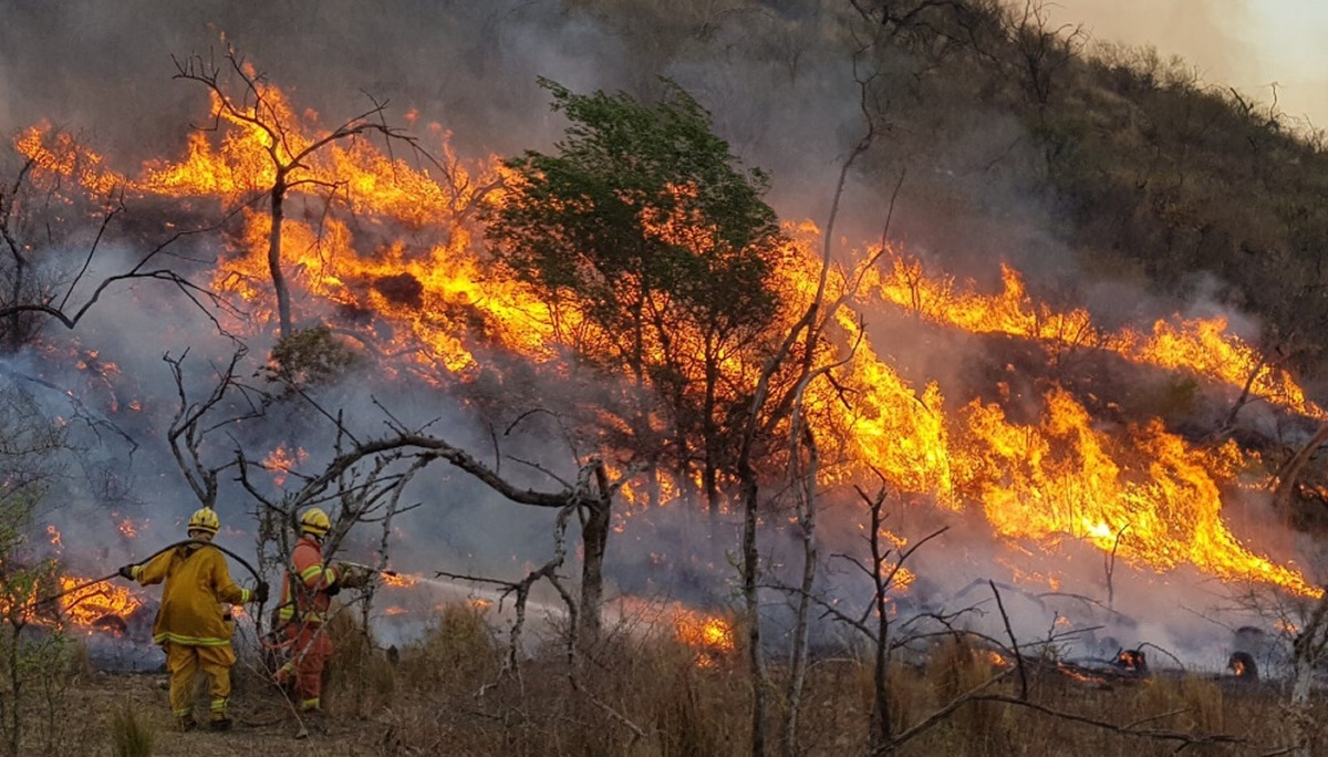Incendios en Córdoba: Javier Milei viaja para monitorear los operativos ...